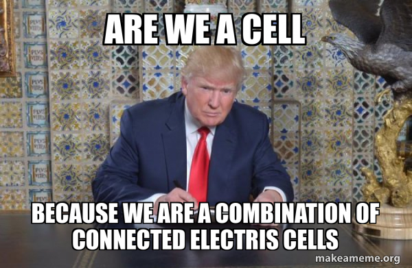 are we a cell because we are a combination of connected electris cells ...
