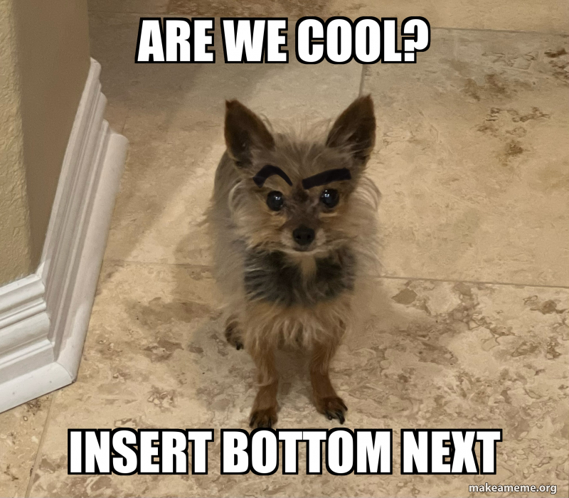 Are we cool? insert bottom next Meme Generator