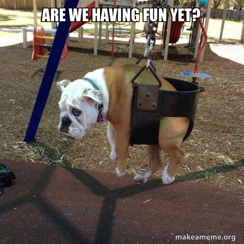 Are we having fun yet? Meme Generator
