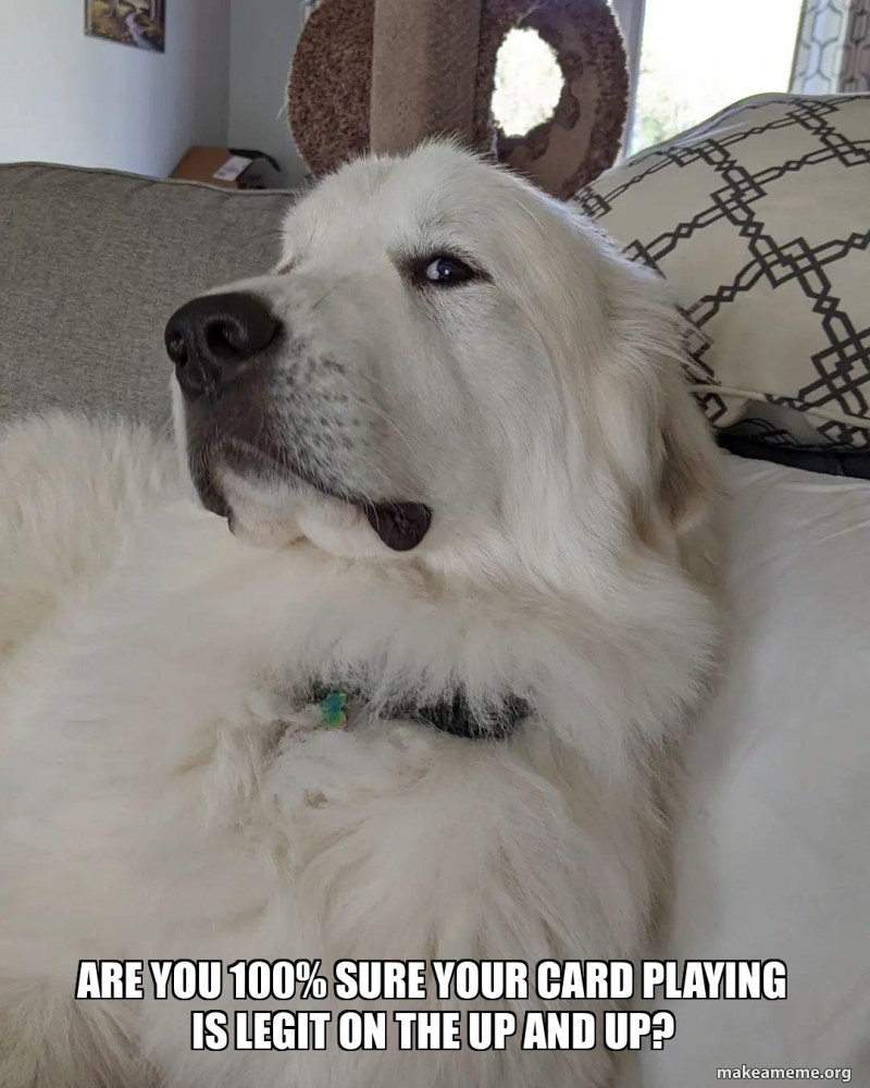 Are you 100% sure your card playing is legit on the up and up? Meme ...