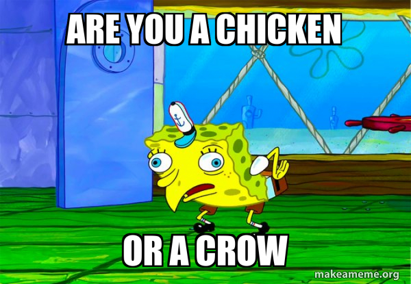 are you a chicken or a crow - Mocking SpongeBob Meme Generator