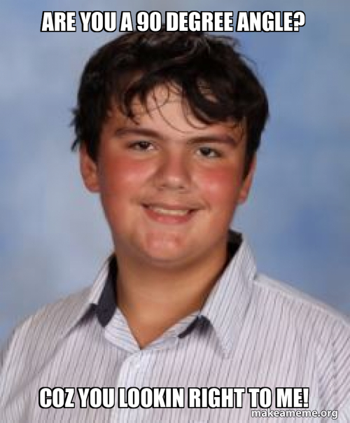 are you a 90 degree angle? coz you lookin right to me! Meme Generator