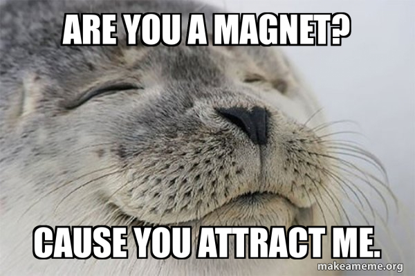 Are you a magnet? Cause you attract me. - Satisfied Seal Meme Generator