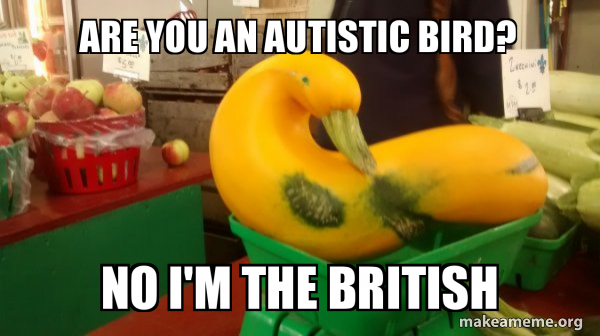 are you an autistic bird? no i'm the British - Gourd Advice Mallard ...