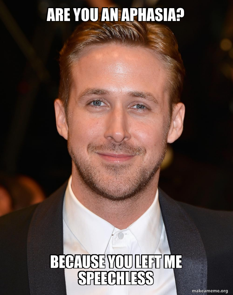 Are you an Aphasia? Because you left me speechless Meme Generator