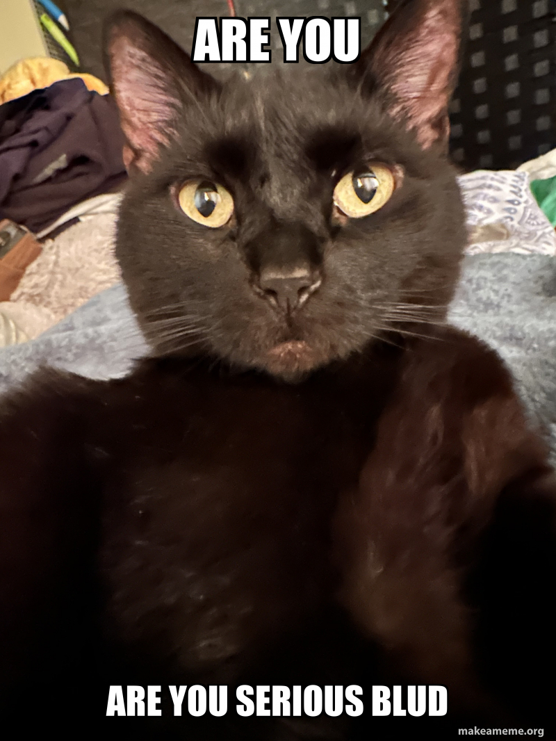 Are you Are you serious blud Meme Generator