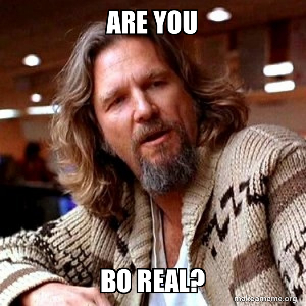 Are You Bo Real? - Big Lebowski Meme Generator
