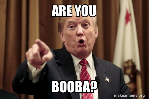 Are you Booba? - Donald Trump Says Meme Generator