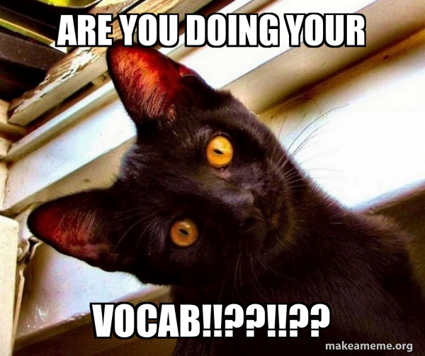 are you doing your VOCAB!!??!!?? - Overly Attached Cat Meme Generator