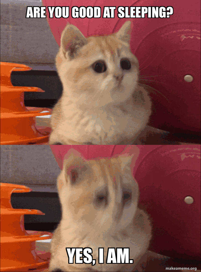 Are you GOOD AT Sleeping? yes, i am. Meme Generator
