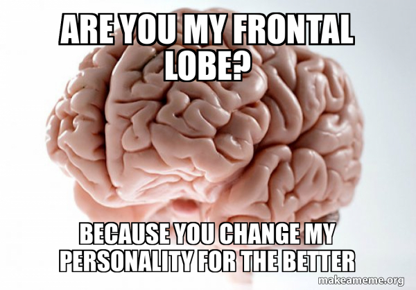 Are you my frontal lobe? Because you change my personality for the ...