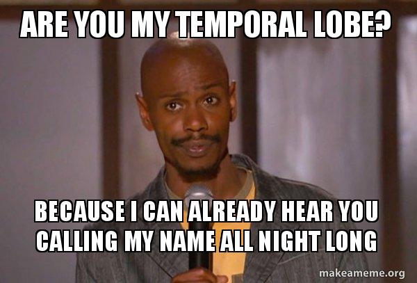 Temporera Memes Uncovering The Spatio Temporal Dynamics Of Memes In