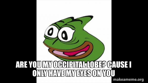 Are you my occipital lobe? cause I only have my eyes on you - Pepega ...