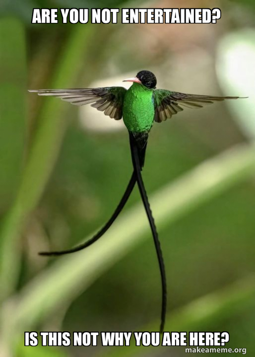 are you not entertained? is this not why you are here? Meme Generator