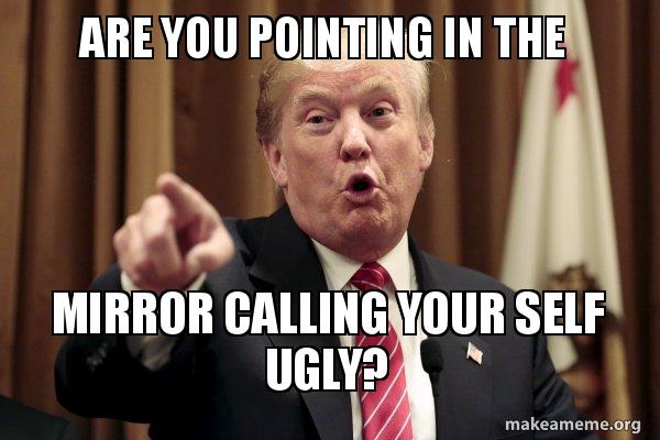 are you pointing in the mirror calling your self ugly? - Donald Trump ...