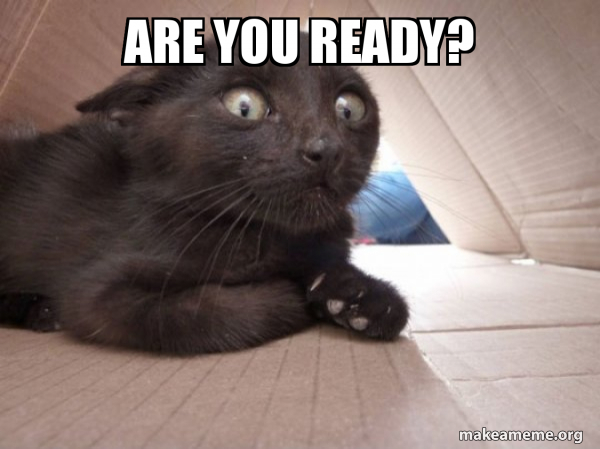 Are you ready? - Schitzo Cat Meme Generator