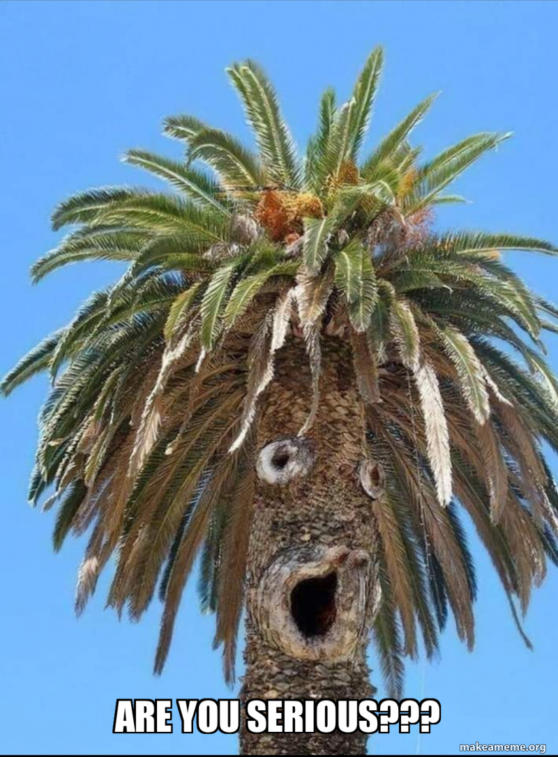 Are you serious??? Meme Generator