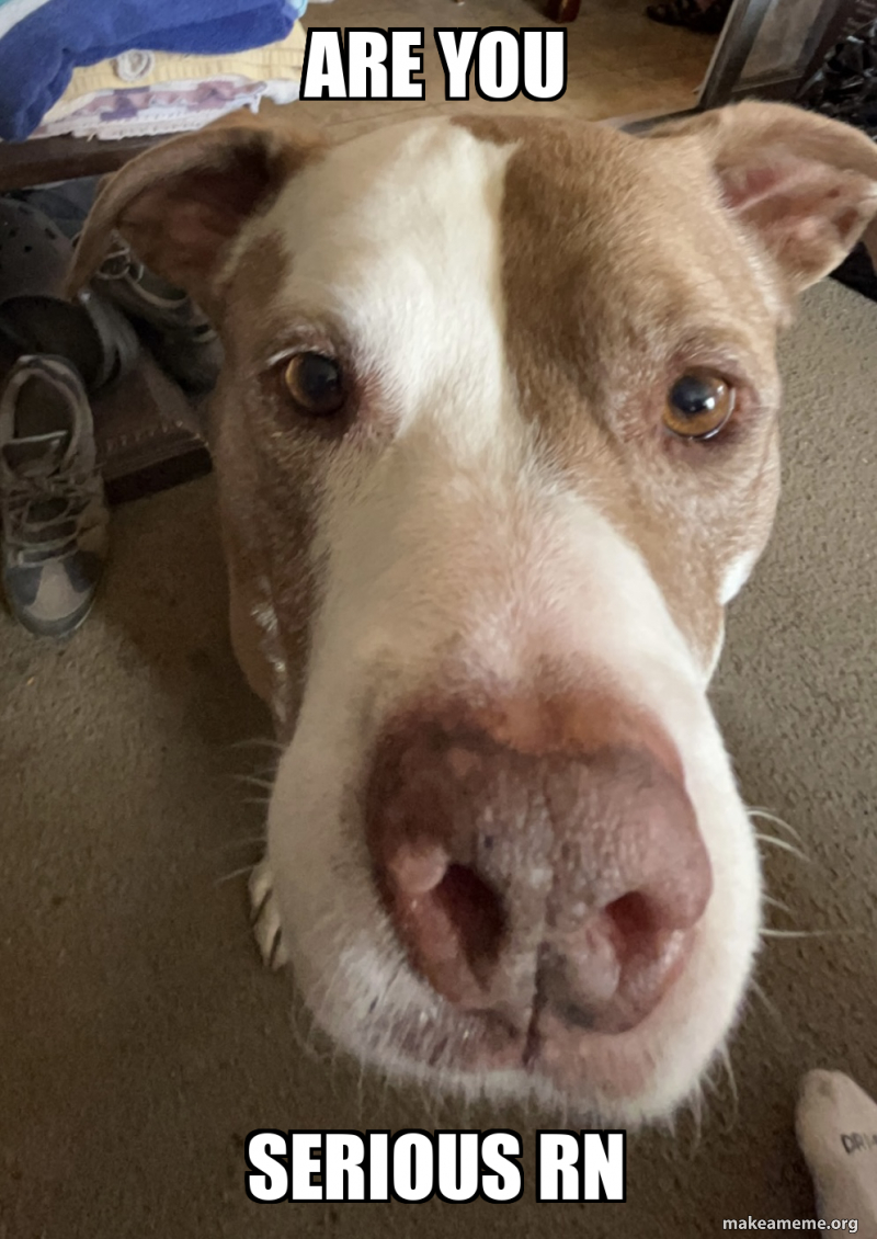 Are you Serious rn Meme Generator