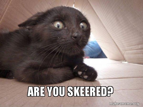 Are you skeered? - Schitzo Cat Meme Generator