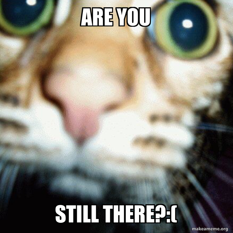 Are you Still there?:( Meme Generator