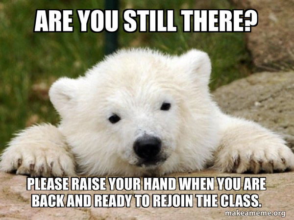 Are you still there? Please raise your hand when you are back and ready ...