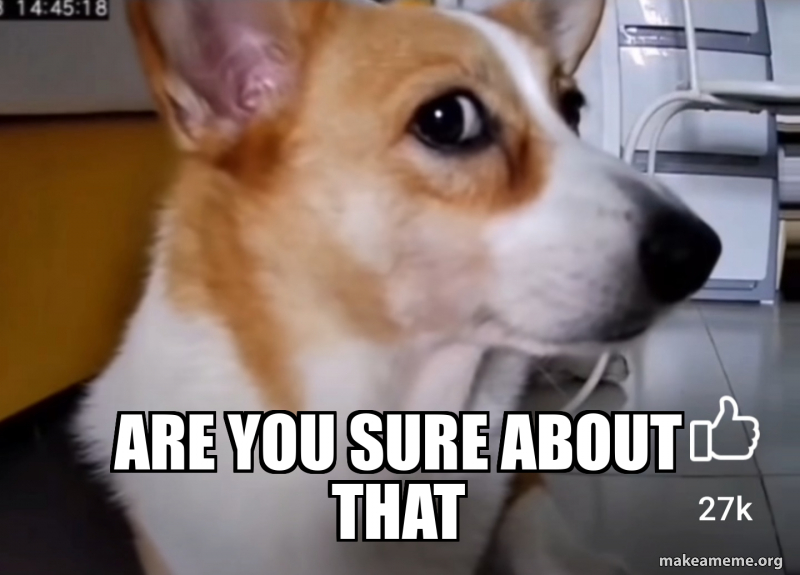 ARE YOU SURE ABOUT THAT Meme Generator