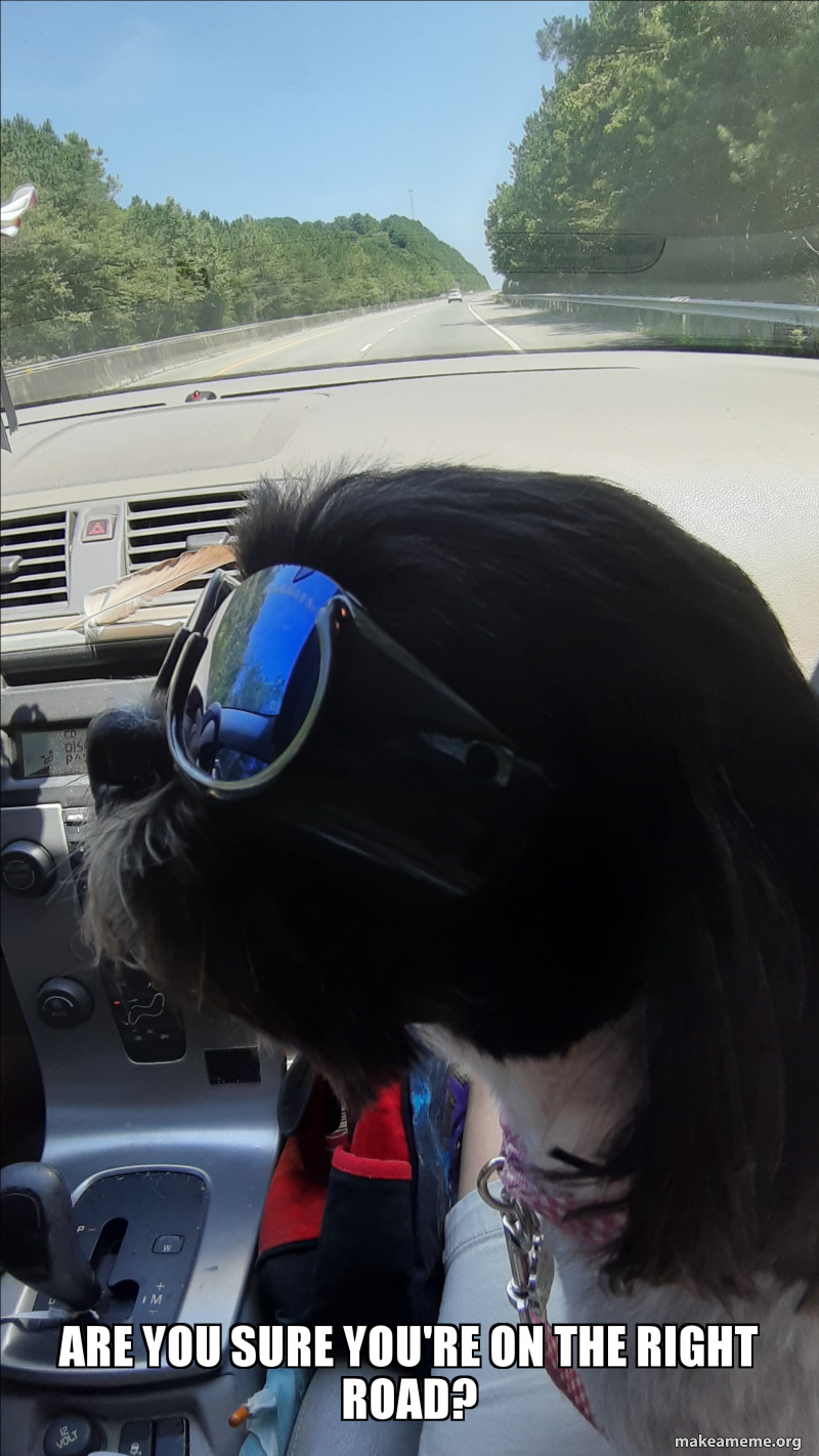 Are you sure you're on the right road? Meme Generator