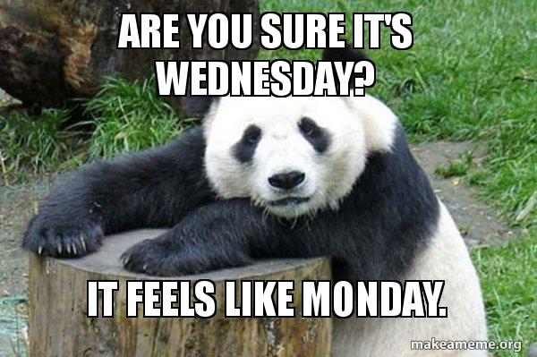 Are you sure it's Wednesday? It feels like Monday. - Confession Panda ...