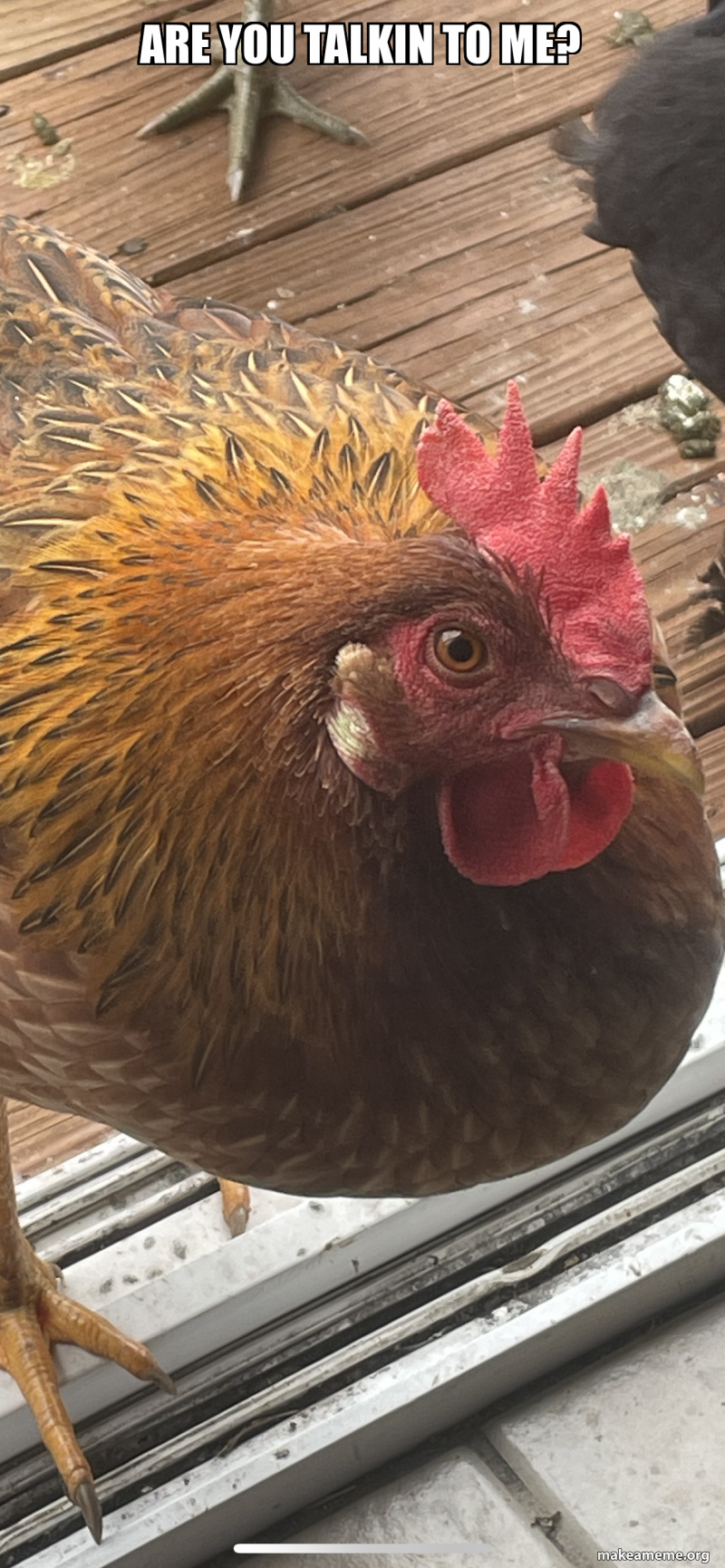 Are you talkin to me? Meme Generator