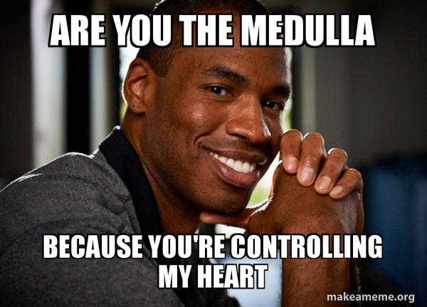Are you the medulla because you're controlling my heart - Good Guy ...