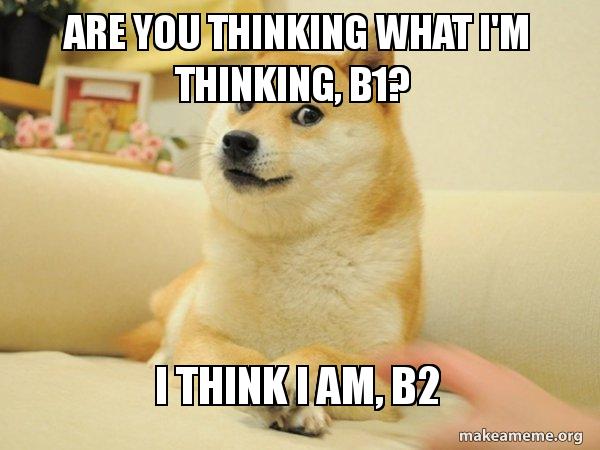 Are you thinking what I'm thinking, B1? I think I am, B2 - Doge Meme ...