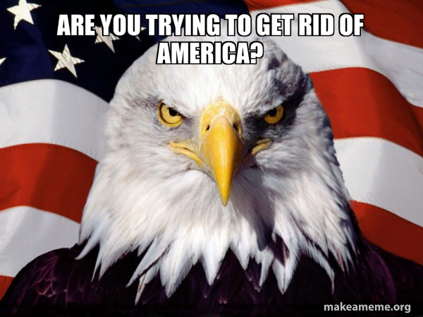 Are you trying to get rid of america? - American Pride Eagle Meme Generator