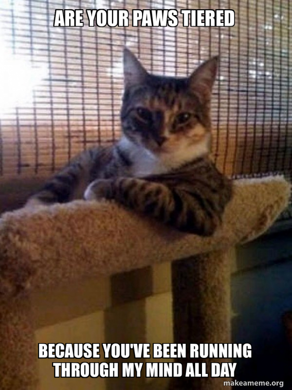 Are Your Paws Tiered Because You've Been Running Through My Mind All ...