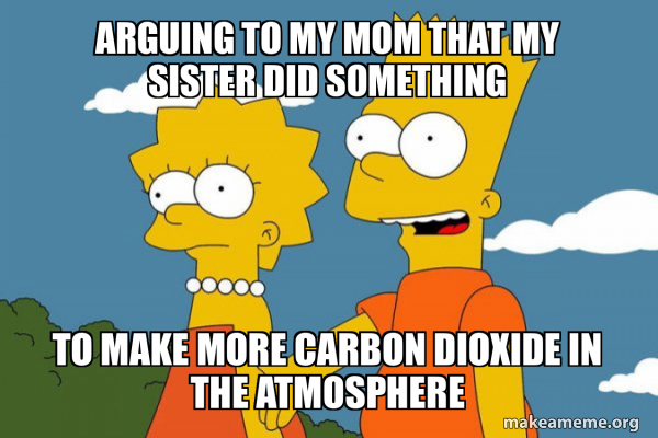 arguing to my mom that my sister did something to make more carbon ...