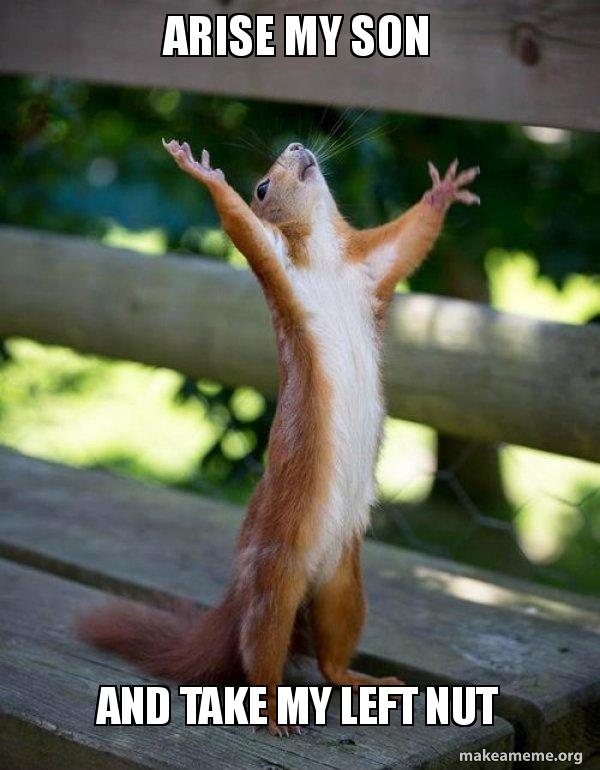 arise my son and take my left nut - Happy Squirrel Meme Generator