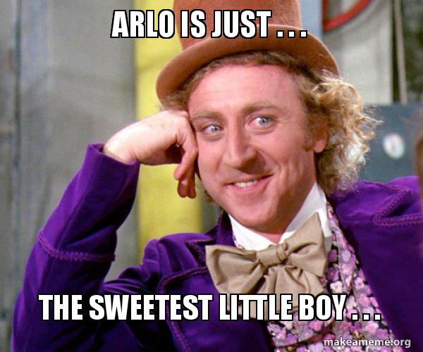 arlo is just . . . the sweetest little boy . . . - Willy Wonka Sarcasm ...