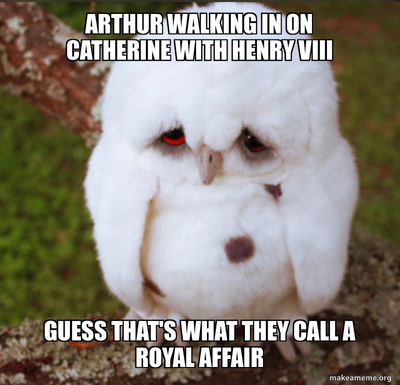 Arthur walking in on Catherine with Henry VIII Guess that's what they ...