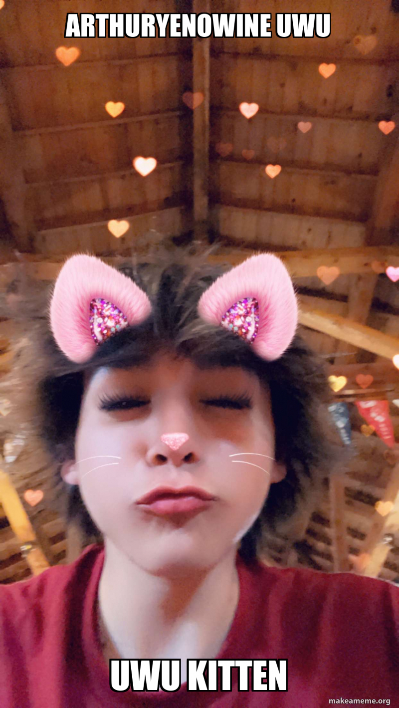 arthuryenowine uwu Uwu kitten Meme Generator