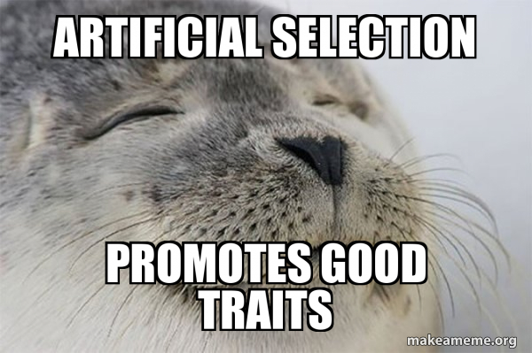 artificial selection promotes good traits - Satisfied Seal Meme Generator