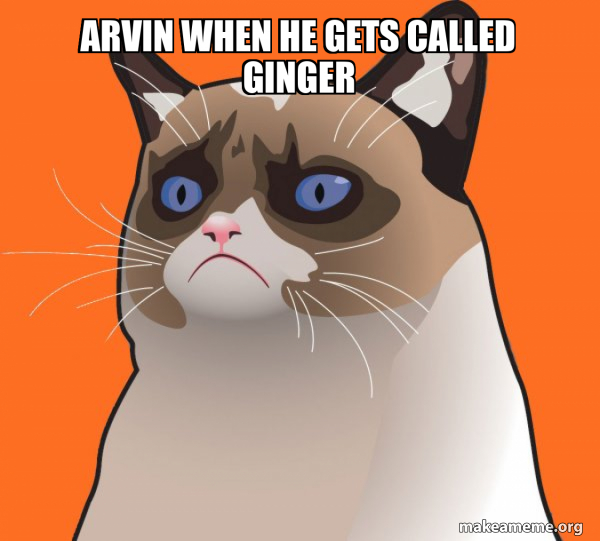 Arvin when he gets called ginger - Cartoon Grumpy Cat Meme Generator