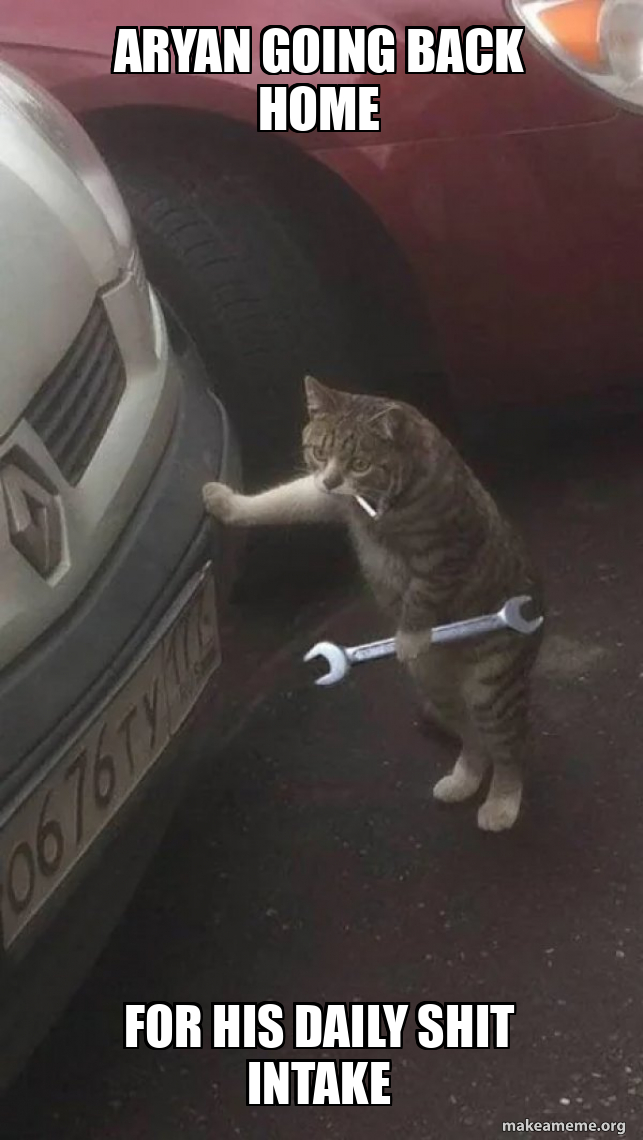 Aryan going back home For his daily shit intake - Mechanic Cat Meme ...