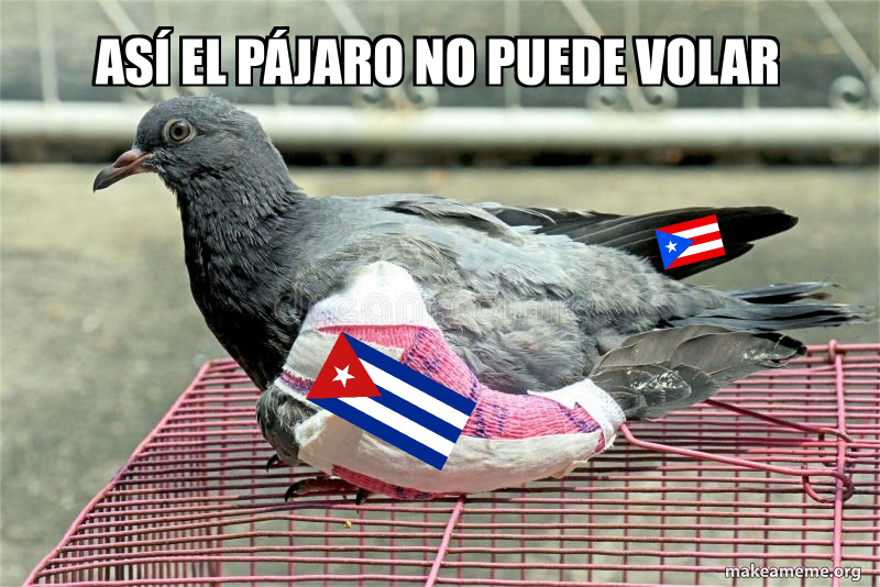 así el pájaro no puede volar Meme Generator