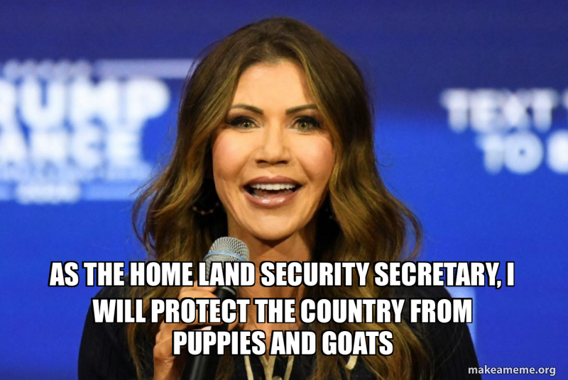 as the home land security secretary, I will protect the country from ...