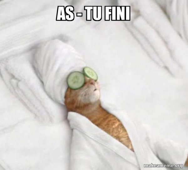 As - tu fini - Pampered Cat Meme Meme Generator