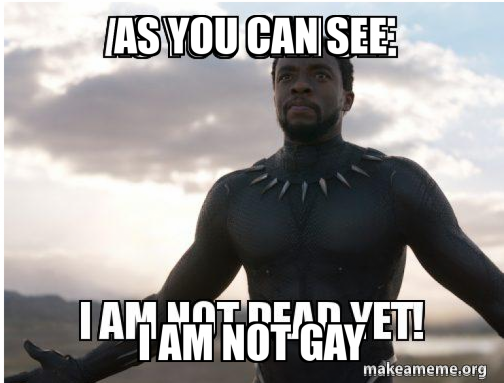 As you can see I AM not gay Meme Generator