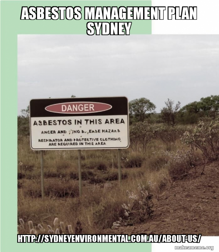Asbestos Management Plan Sydney http://sydneyenvironmental.com.au/about ...