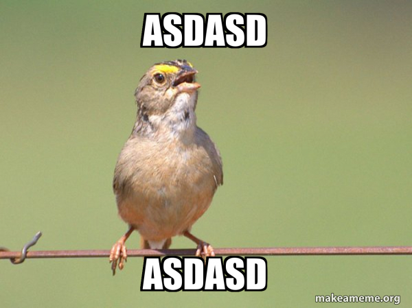 asdasd asdasd - Common Opinion Sparrow Meme Generator