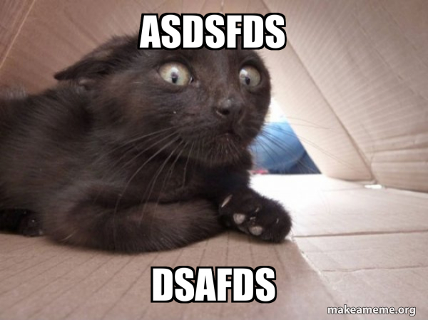 asdsfds dsafds - Schitzo Cat Meme Generator