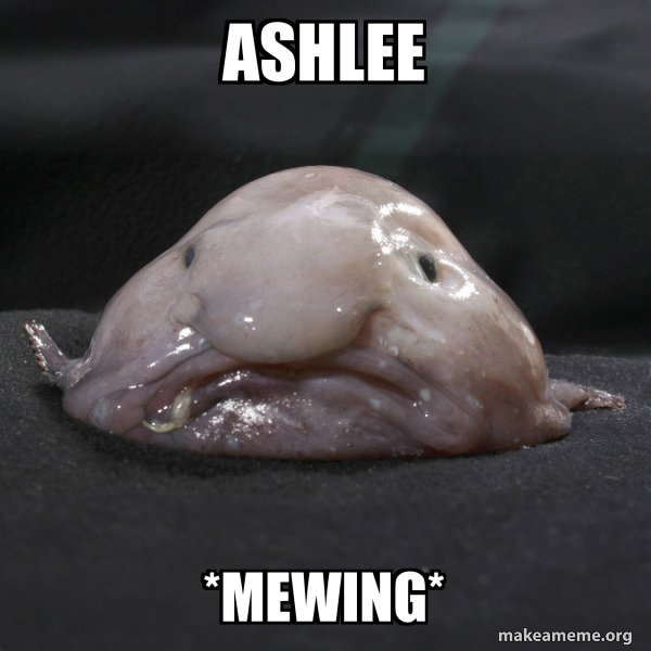 Ashlee *mewing* - Blobfish Meme Generator
