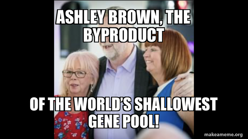 Ashley Brown, the byproduct Of the world’s shallowest gene pool! Meme ...